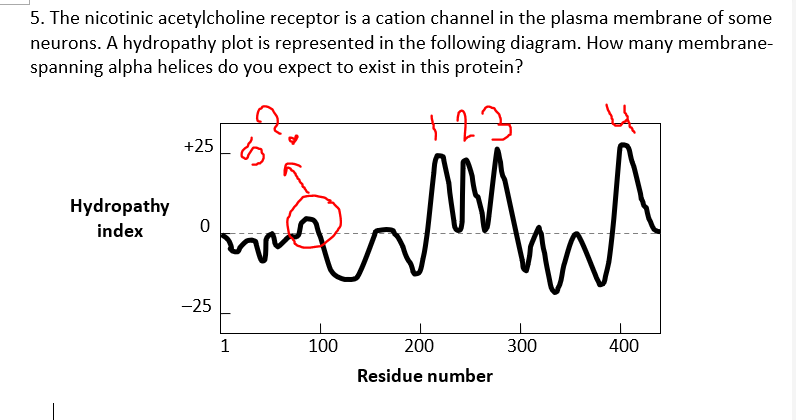 Solved For the portion I circled in red is that a 5th | Chegg.com