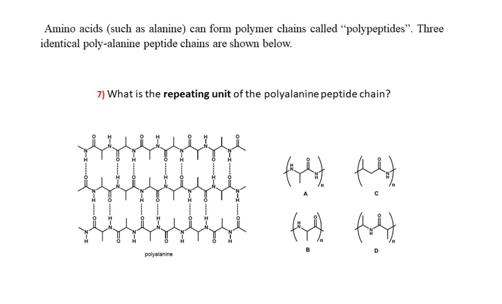 Solved Amino acids (such as alanine) can form polymer chains | Chegg.com