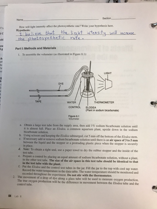 Solved I need help about this lab. I have to write about | Chegg.com