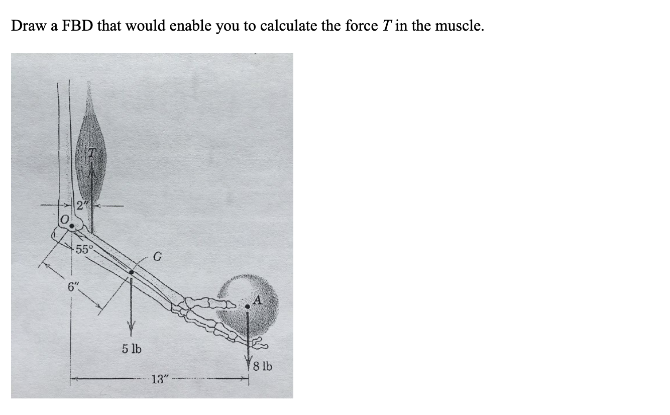 Solved Draw a FBD that would enable you to calculate the | Chegg.com