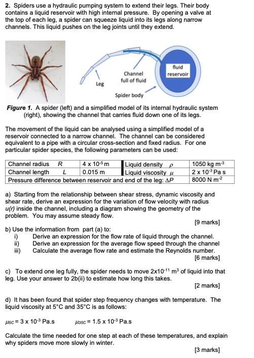 Solved 2. Spiders use a hydraulic pumping system to extend | Chegg.com