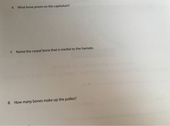 Solved 6. What bone pivots on the capitulum? 7. Name the | Chegg.com