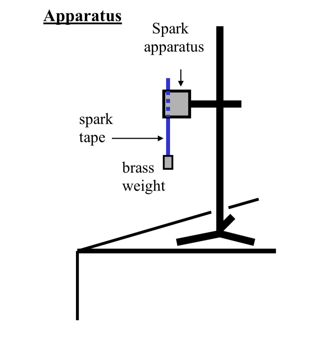 Solved INTRO TO PHYSICS LAB Free Fall: Acceleration Due to | Chegg.com