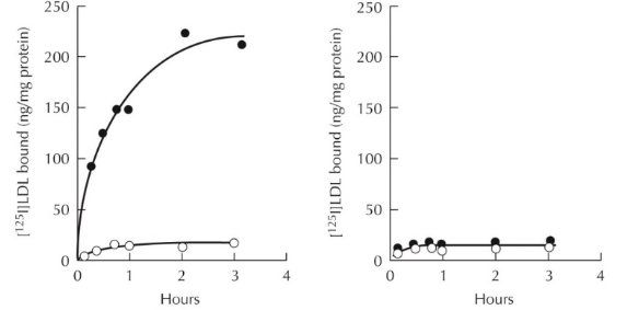 Solved 9. The figure below is taken from the Chapter 15 | Chegg.com