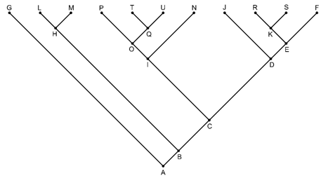 Solved Find the most recent common ancestor in each case. [5 | Chegg.com