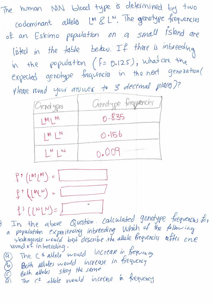 Solved inbreeding The human MN blood type is determined by | Chegg.com