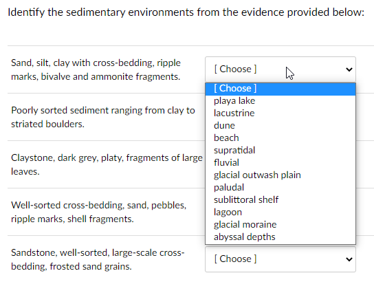 Solved Identify the sedimentary environments from the | Chegg.com