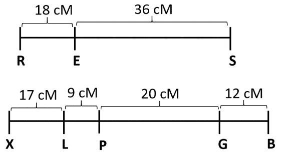 Solved The diagram below is a linkage map. Choose the answer | Chegg.com