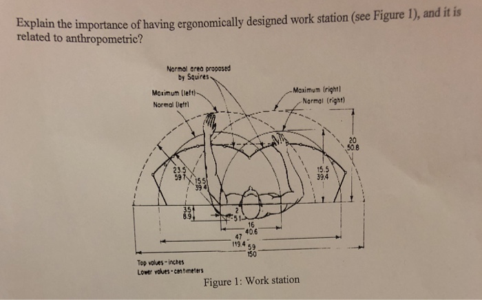 Solved Explai related to anthropometric? n the importance of | Chegg.com