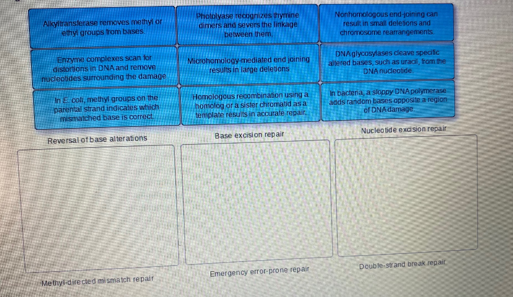 Solved Drag EACH description to the correct repair | Chegg.com