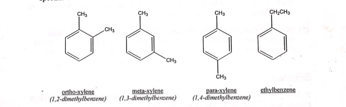 Solved CH3 CH3 CH2CH3 CH3 CH3 CH3 para-xylene meta-xylene | Chegg.com