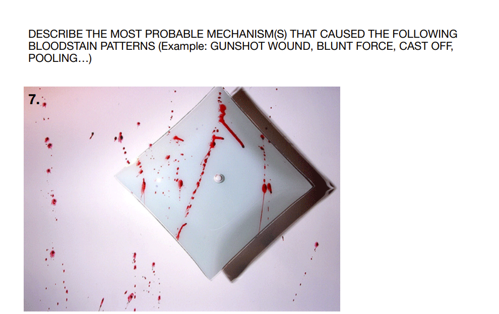 Blood Spatter Part I: At the crime scene, what test | Chegg.com