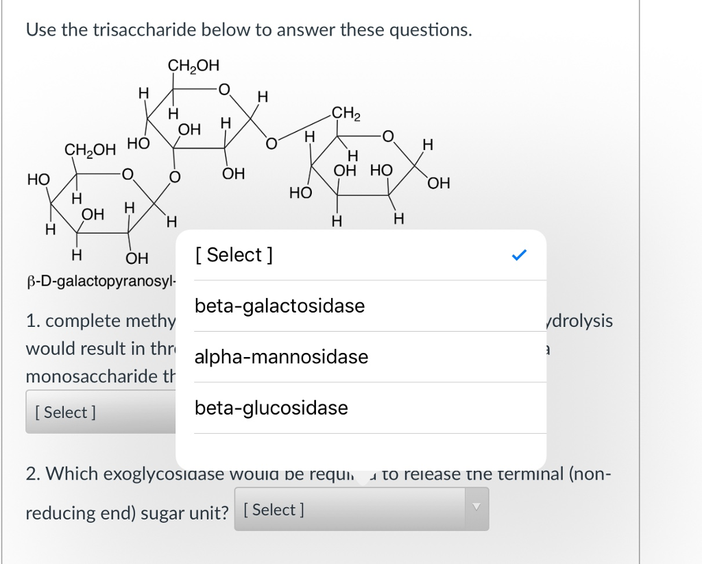 Solved Use the trisaccharide below to answer these | Chegg.com