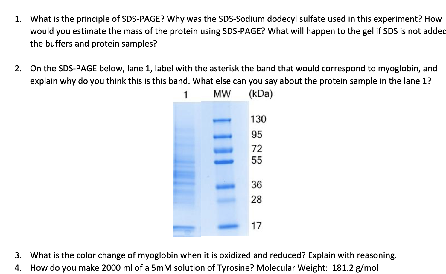1. What is the principle of SDS-PAGE? Why was the | Chegg.com