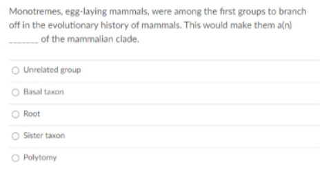 Solved Monotremes, egg-laying mammals, were among the first | Chegg.com