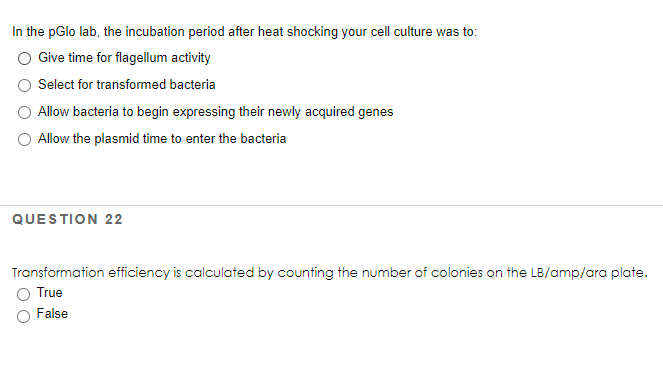 Solved In the pGlo lab, the incubation period after heat | Chegg.com