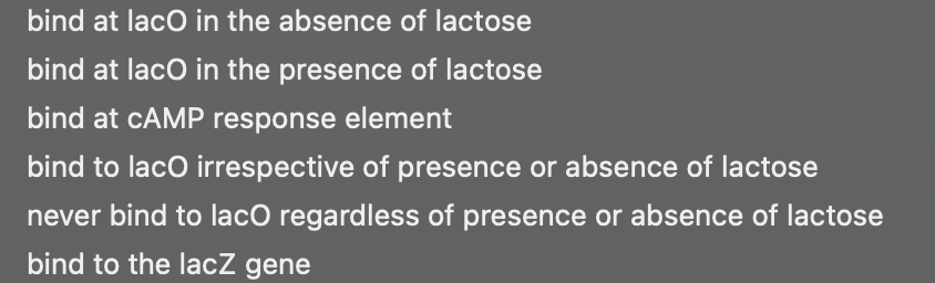 Solved In the mutant E. coli strain, with the genotype lacI– | Chegg.com