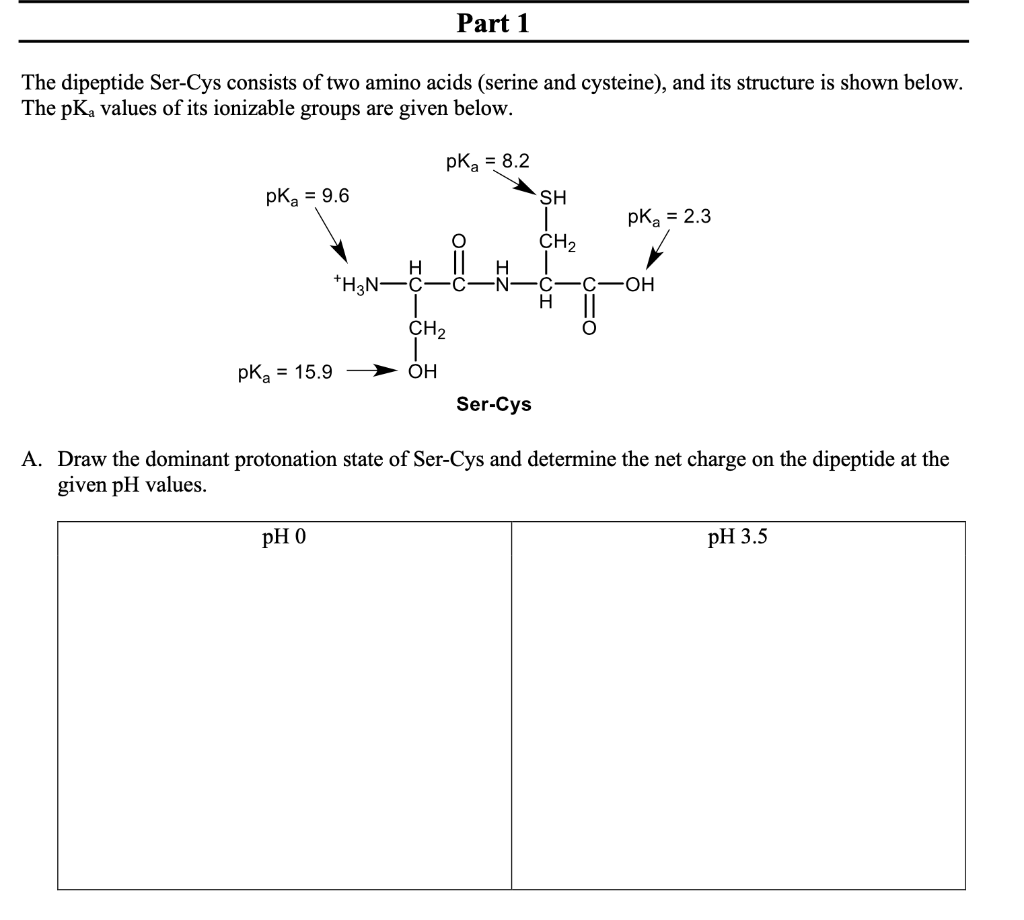 Solved The dipeptide Ser-Cys consists of two amino acids | Chegg.com