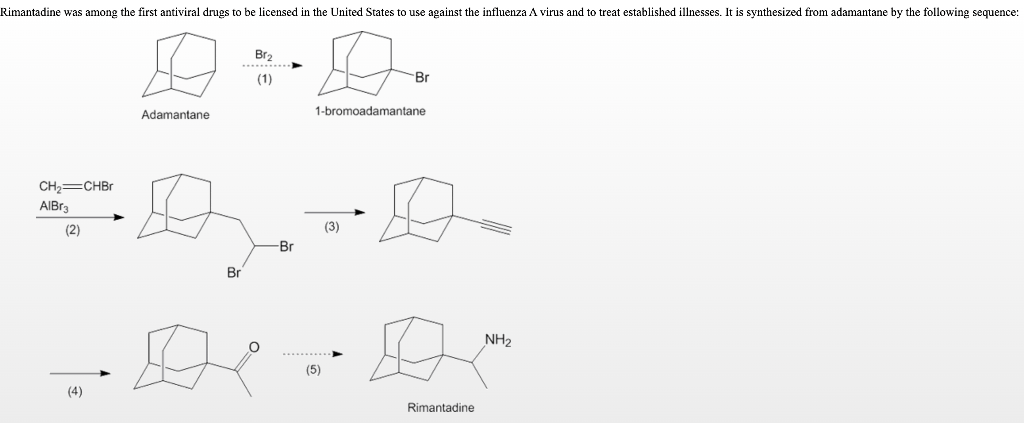 Solved Rimantadine was among the first antiviral drugs to be | Chegg.com