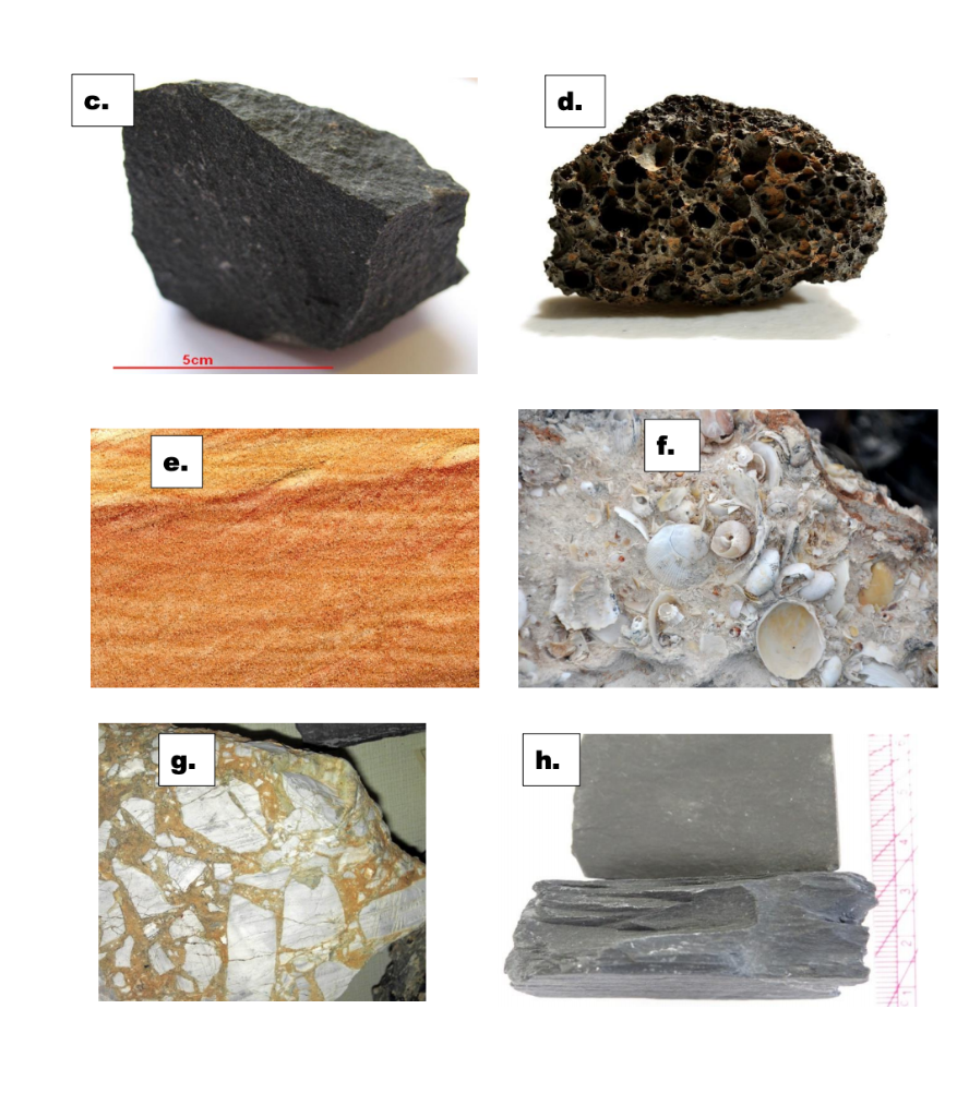 Solved Metamorphic Rock Assignment #2 Name 1. Complete the | Chegg.com