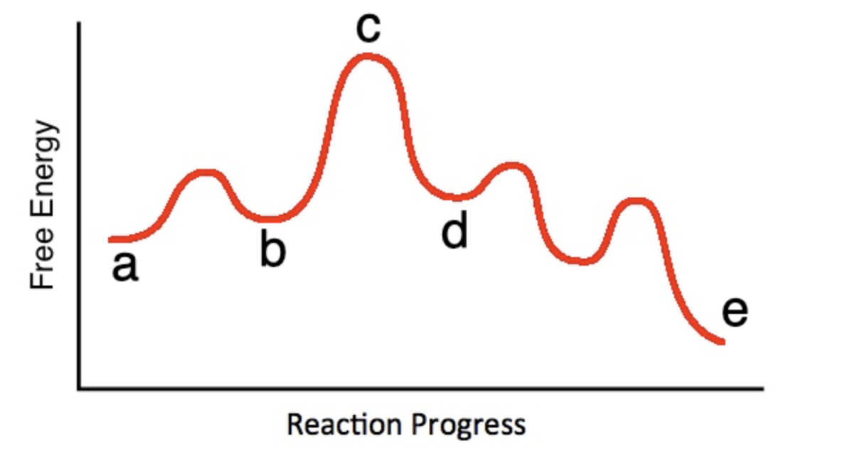 Solved How many Elementary Steps does this reaction | Chegg.com