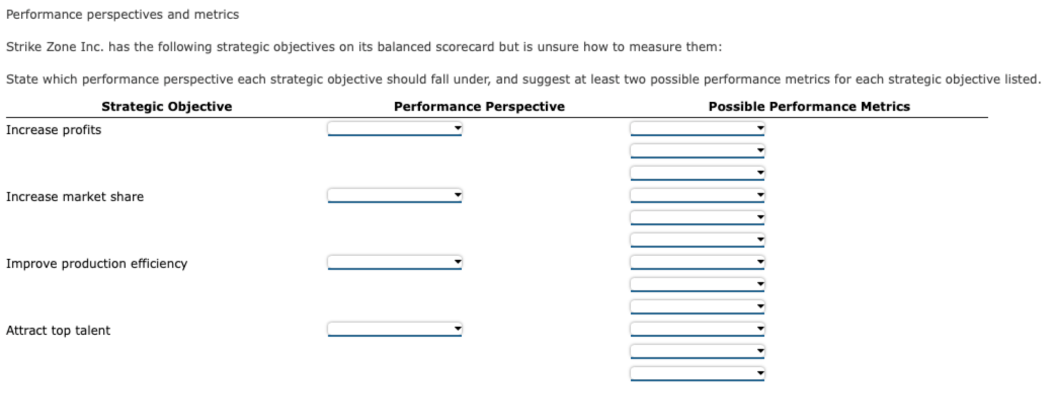 Performance perspectives and metrics Strike Zone Inc. | Chegg.com