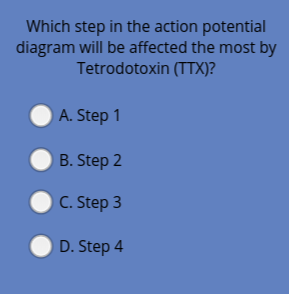 Solved Action Potential in nodal tissues (SA node & AV node) | Chegg.com