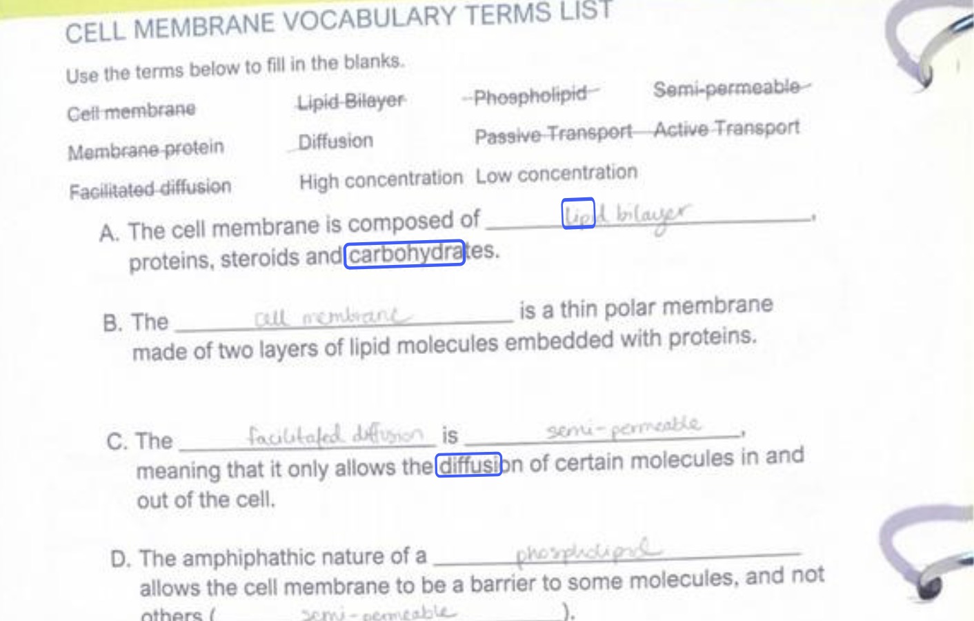 Solved CELL MEMBRANE VOCABULARY TERMSUse the terms below to | Chegg.com