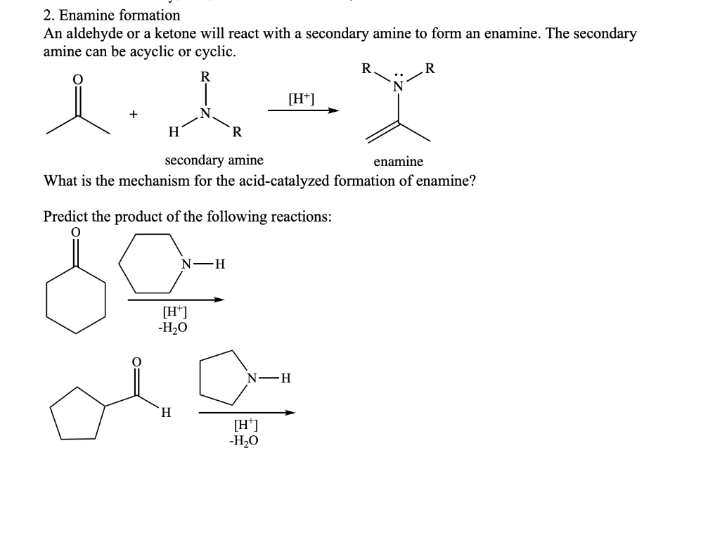 Solved 2. Enamine formation An aldehyde or a ketone will | Chegg.com
