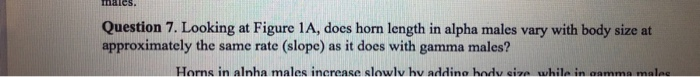 Question 7. Looking at Figure 1A, does horn length in | Chegg.com