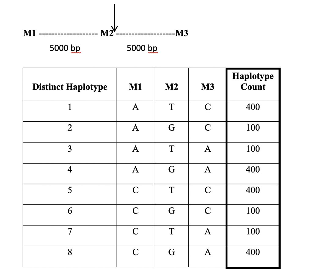 The following table shows 8 distinct haplotypes at 3 | Chegg.com