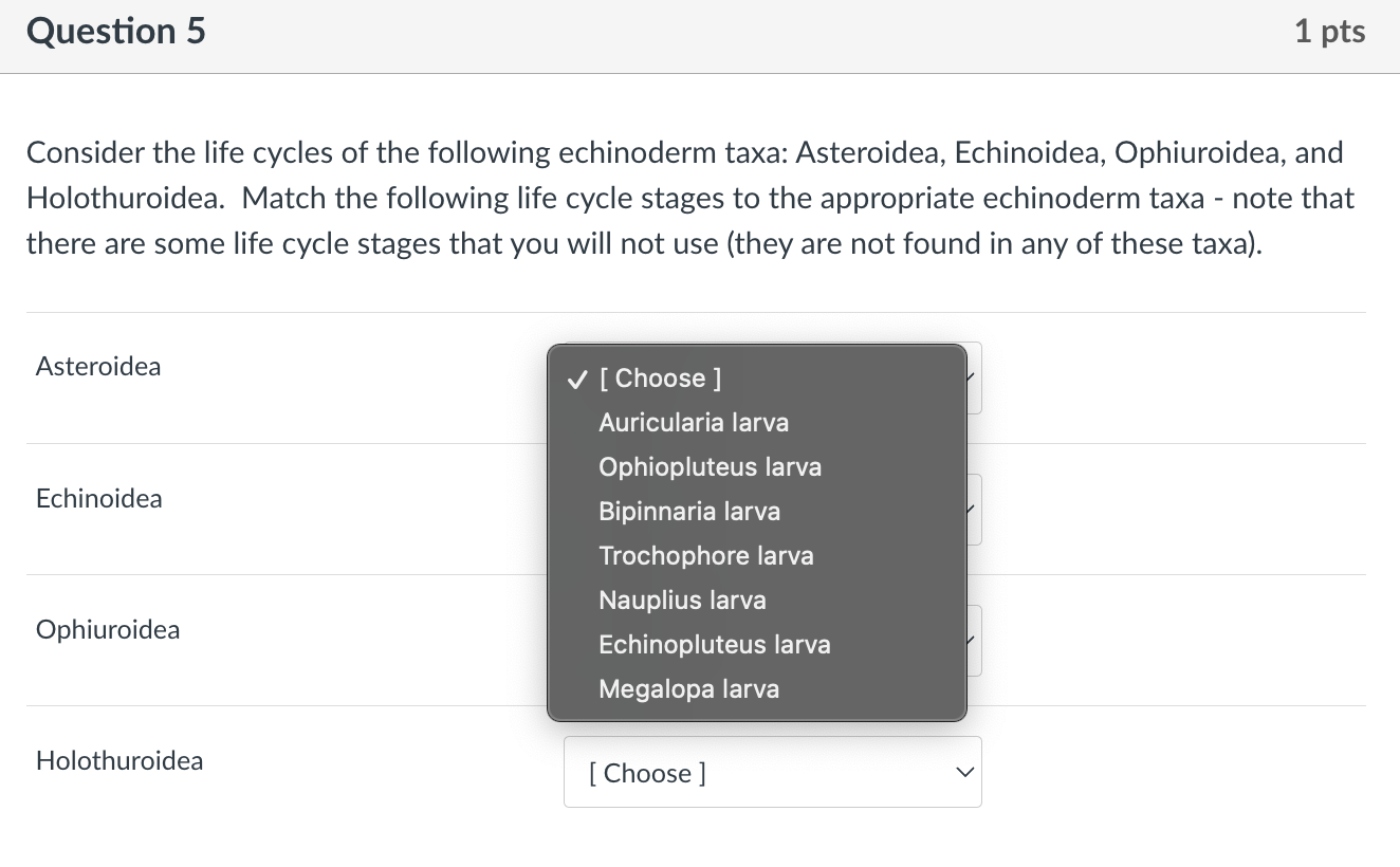 Solved Consider the life cycles of the following echinoderm | Chegg.com