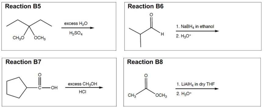 Solved Reaction B5 Reaction B6 excess H,0 1. NaBH, in | Chegg.com