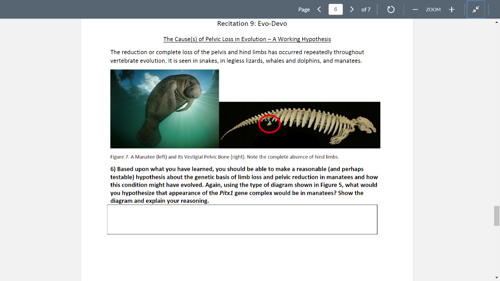 Based upon what you have learned, you should be able | Chegg.com