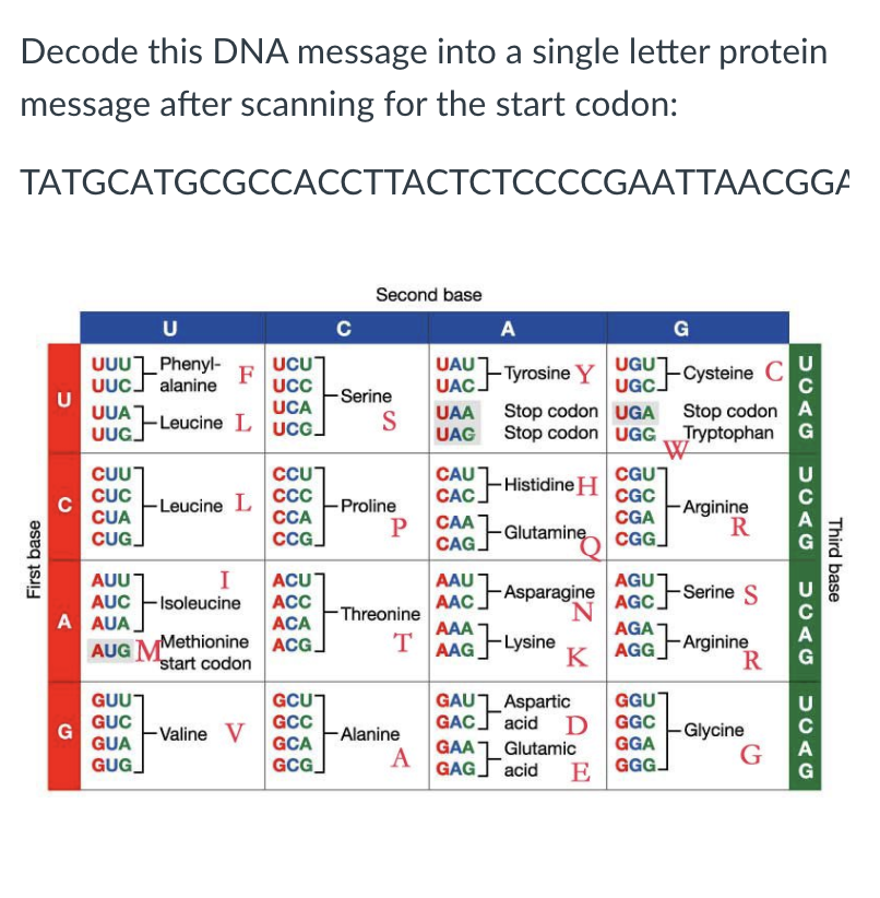 Solved Decode this DNA message into a single letter protein | Chegg.com