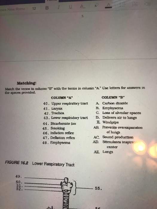 Solved Home 12 BUA 56. 57 58 2 59. 5 54. A. L. primary | Chegg.com