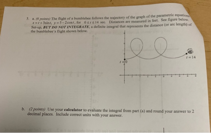 Solved t of a bumblebee follows the trajectory of the graph | Chegg.com