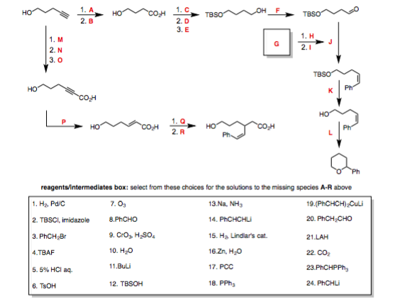 Solved Complete the flow chart below by selecting the | Chegg.com