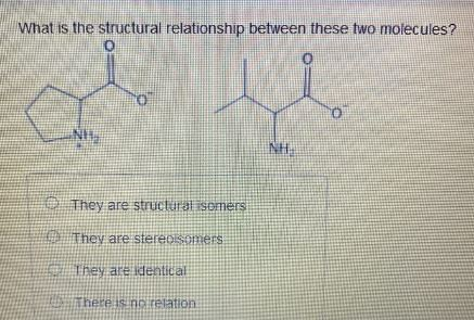Solved What is the structural relationship between these two | Chegg.com