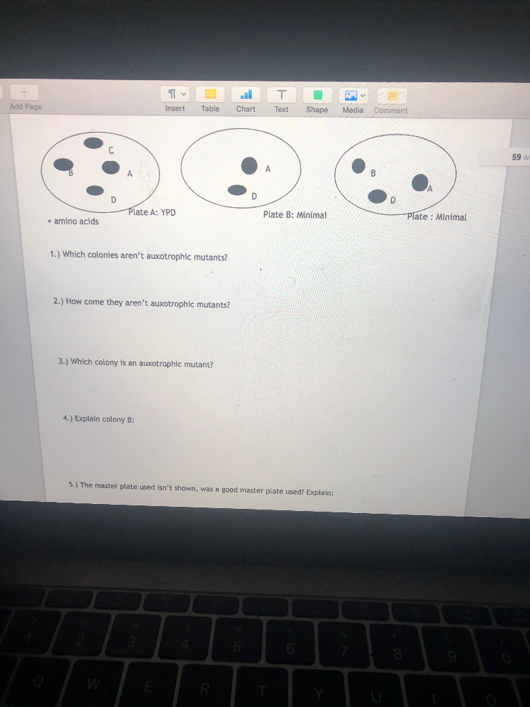 Solved | ا T لنا ل Insert Table Chart Text Add Page Shape | Chegg.com