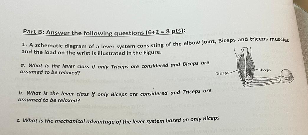 Solved Part B: Answer the following questions (6+2=8 pts ) : | Chegg.com