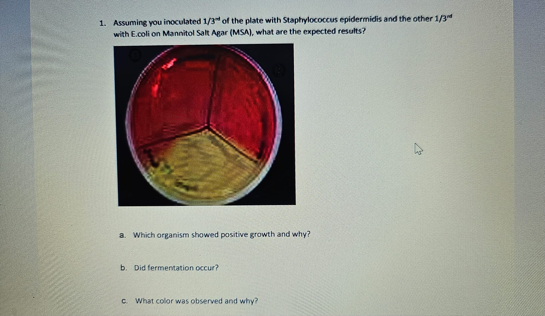 Solved Assuming you inoculated 13rd ﻿of the plate with | Chegg.com