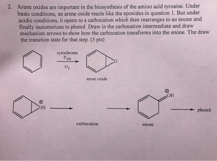 Solved Arene oxides are important in the biosynthesis of the | Chegg.com