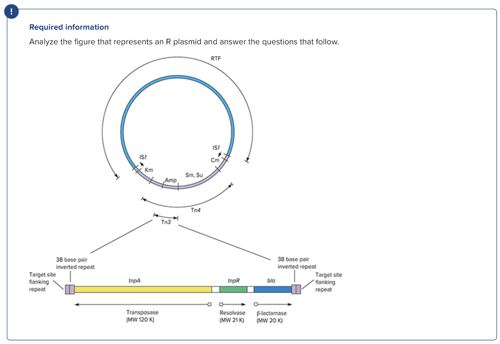 Solved Required information Analyze the figure that | Chegg.com