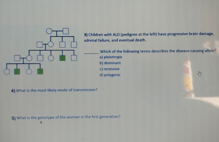 Solved 3) Children with ALD (pedigree at the left) have | Chegg.com