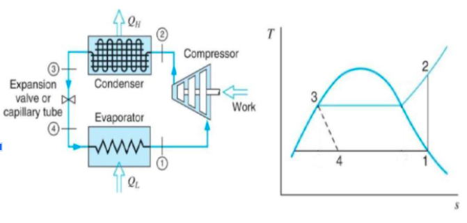 Solved T-s diagram and ideal refrigeration cycle. | Chegg.com