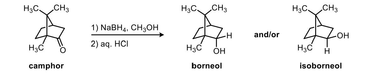 and/or camphor borneol isoborneol | Chegg.com