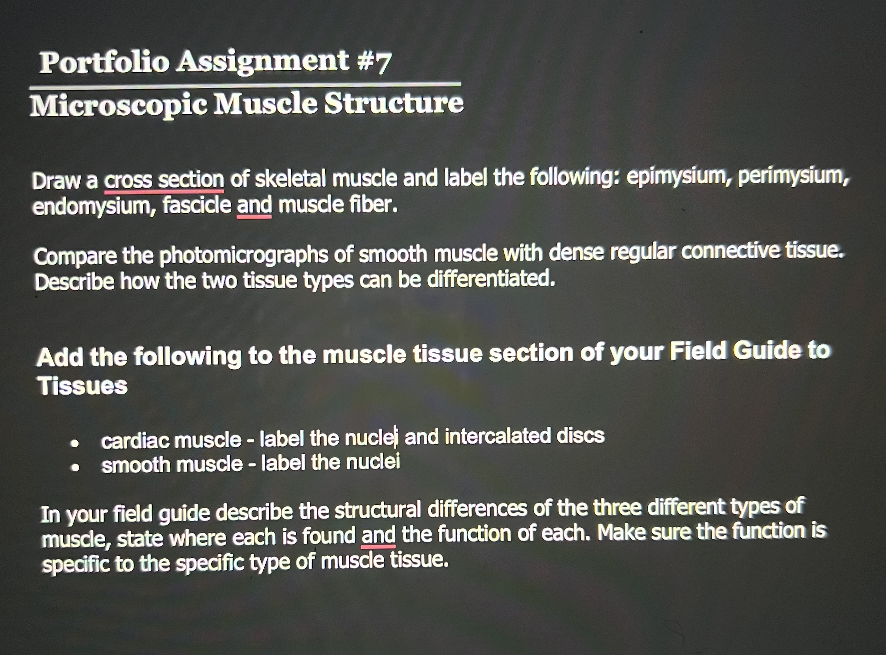 Solved Portfolio Assignment \#7 Microscopic Muscle Structure | Chegg.com