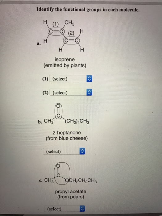 Solved Identify the functional groups in each molecule. | Chegg.com