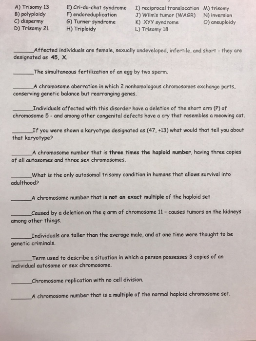 Solved A) Trisomy 13 B) polyploidy C) dispermy D) Trisomy 21 | Chegg.com